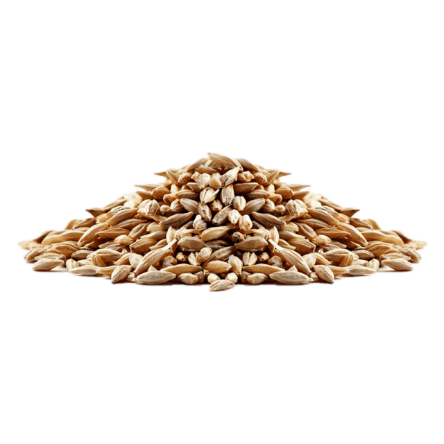 Toasted Barley - Cebada Tostada (425g) - Parce Canada